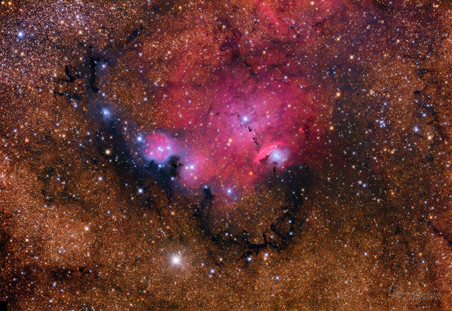 Sharpless 29 region